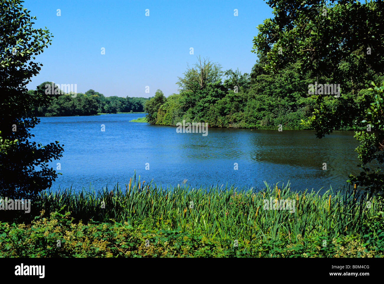 Where Is Virginia Water Uk at Margaret Suarez blog