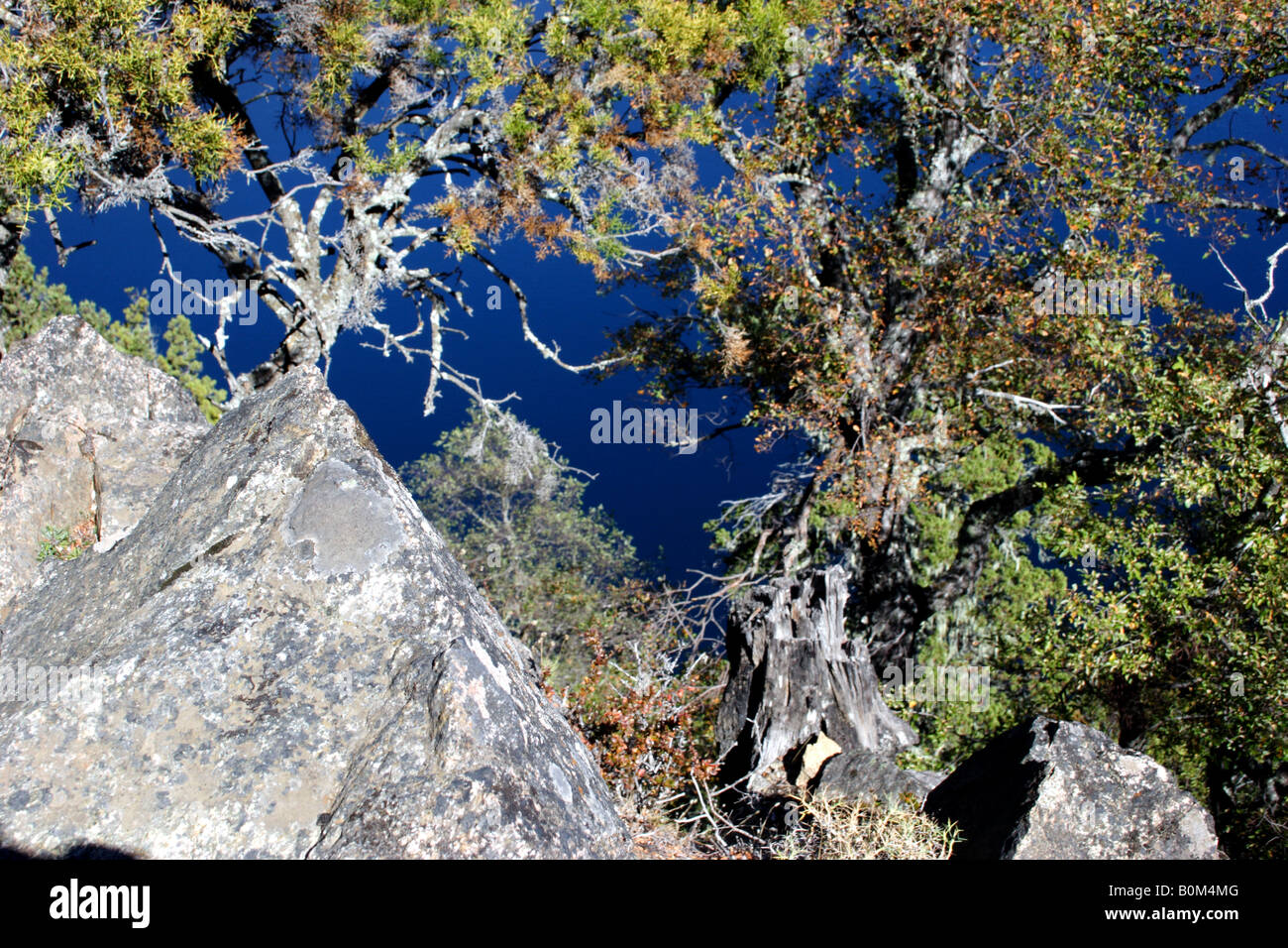 Rocks and branches 2 Stock Photo - Alamy