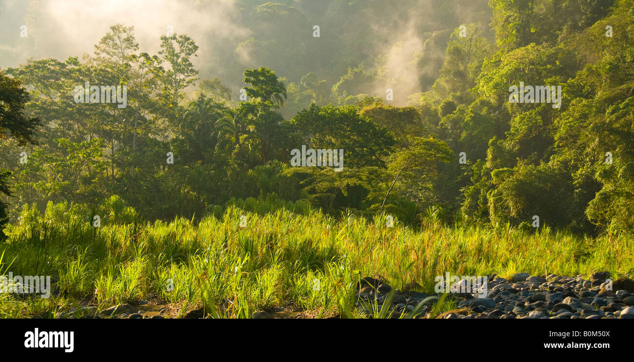 COSTA RICA Morning mist rising from the rainforest on the Lower Pacuare ...