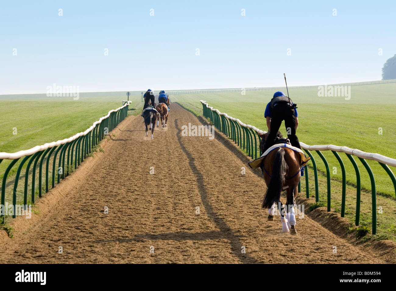 Warren hill gallops hi-res stock photography and images - Alamy