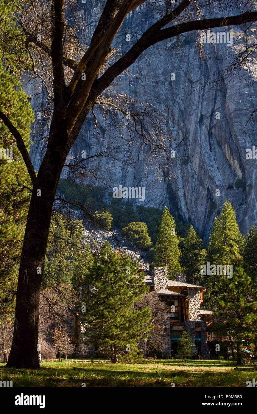 Oak tree cliff and the Ahwahnee Hotel Yosemite National Park California ...
