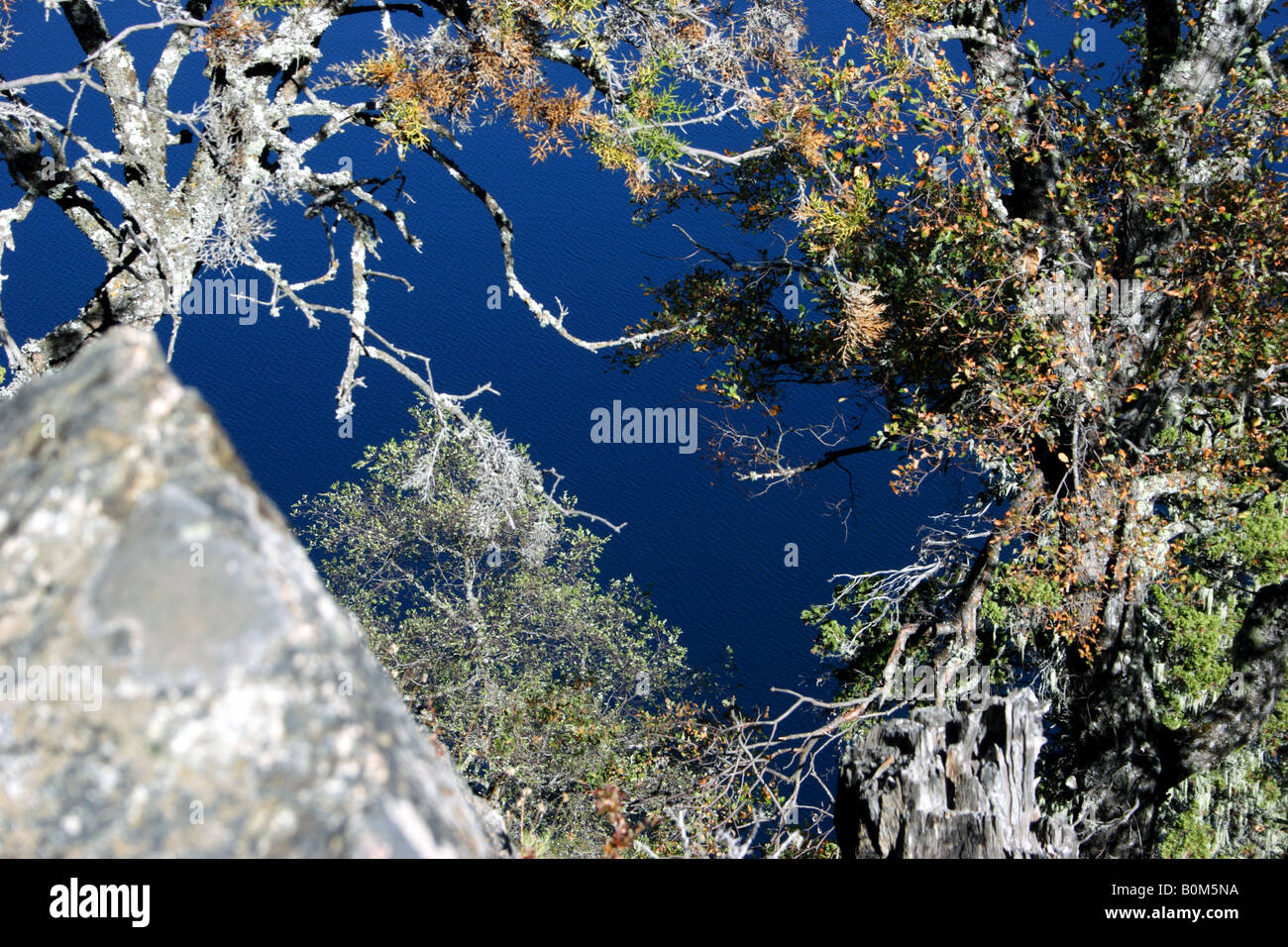 Rocks and branches 1 Stock Photo - Alamy