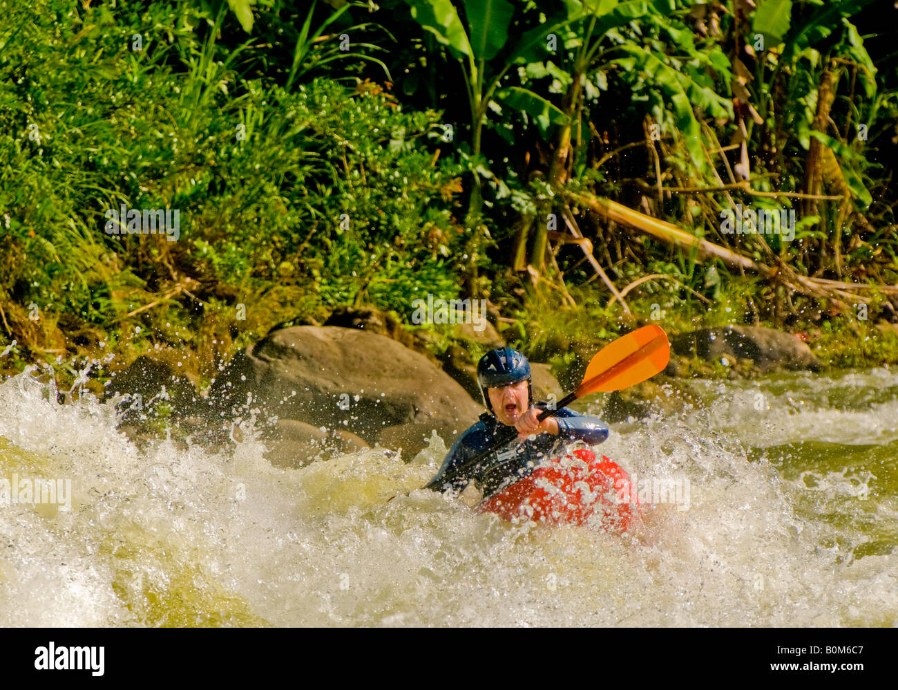 Costa rica guide through jungle hi-res stock photography and images - Alamy