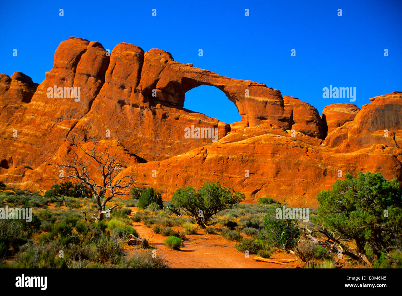 Arch formed hi-res stock photography and images - Alamy