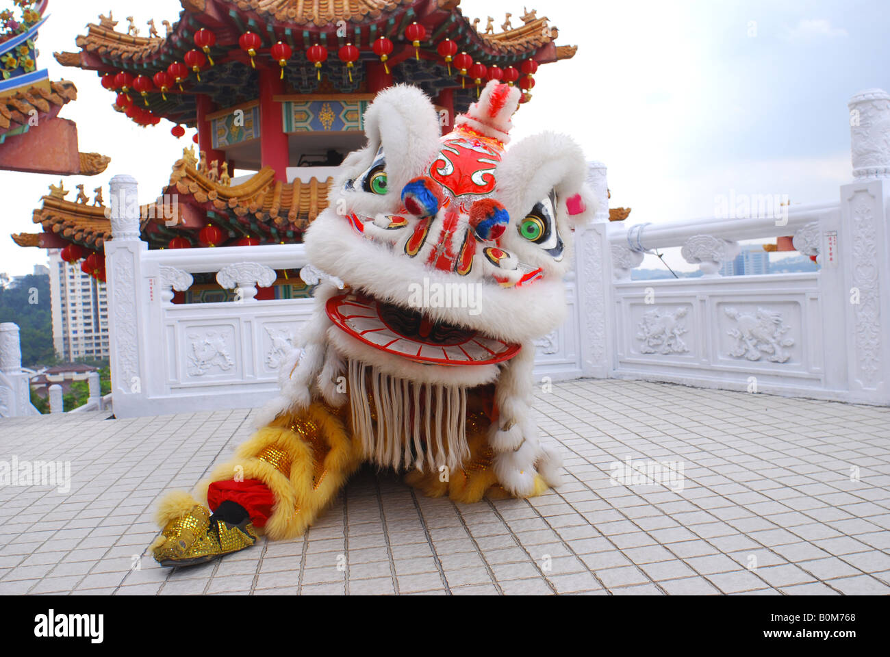 Lion Dance Performance,Chinese New Year festival Stock Photo - Alamy