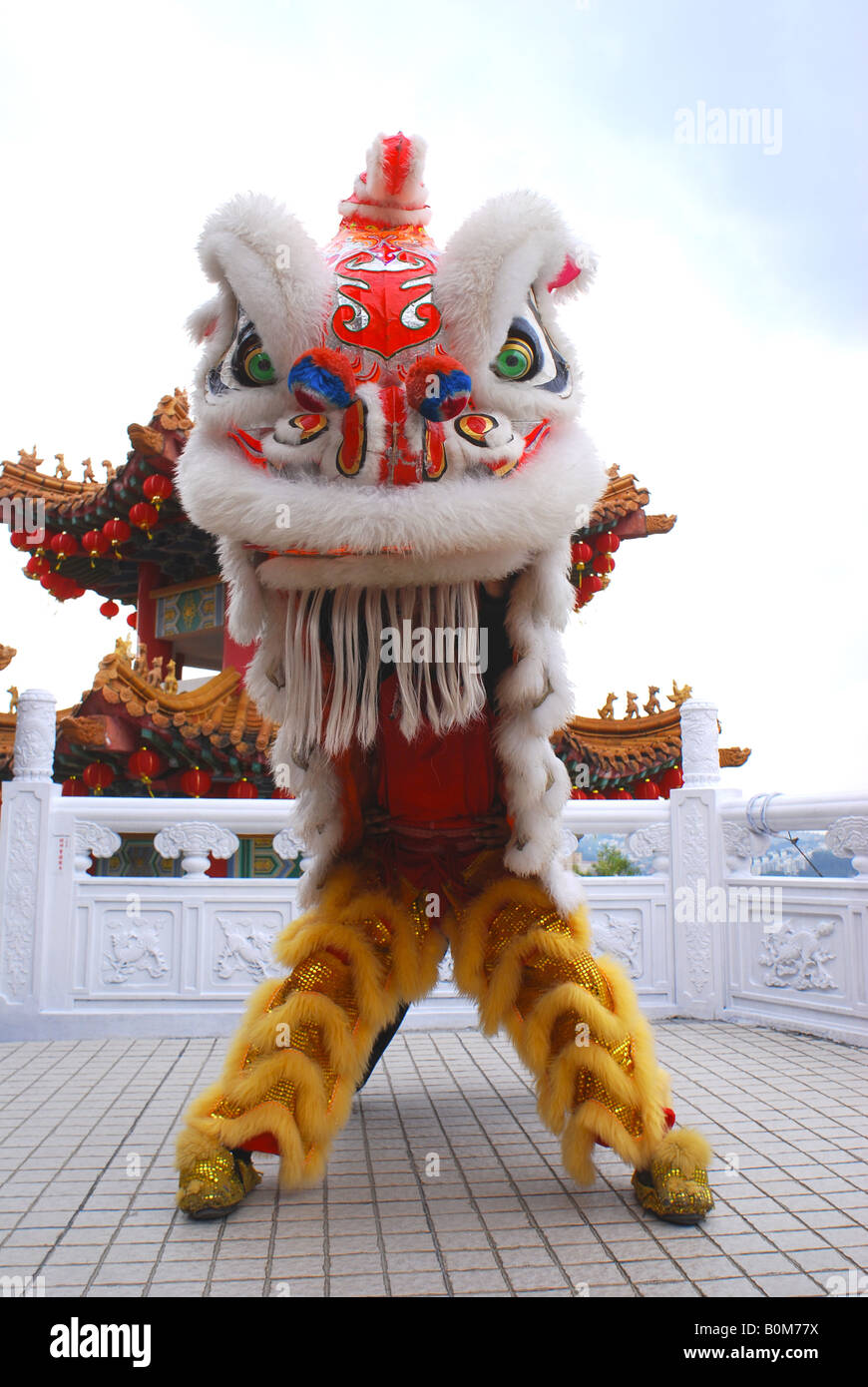 Lion Dance Performance,Chinese New Year festival Stock Photo - Alamy