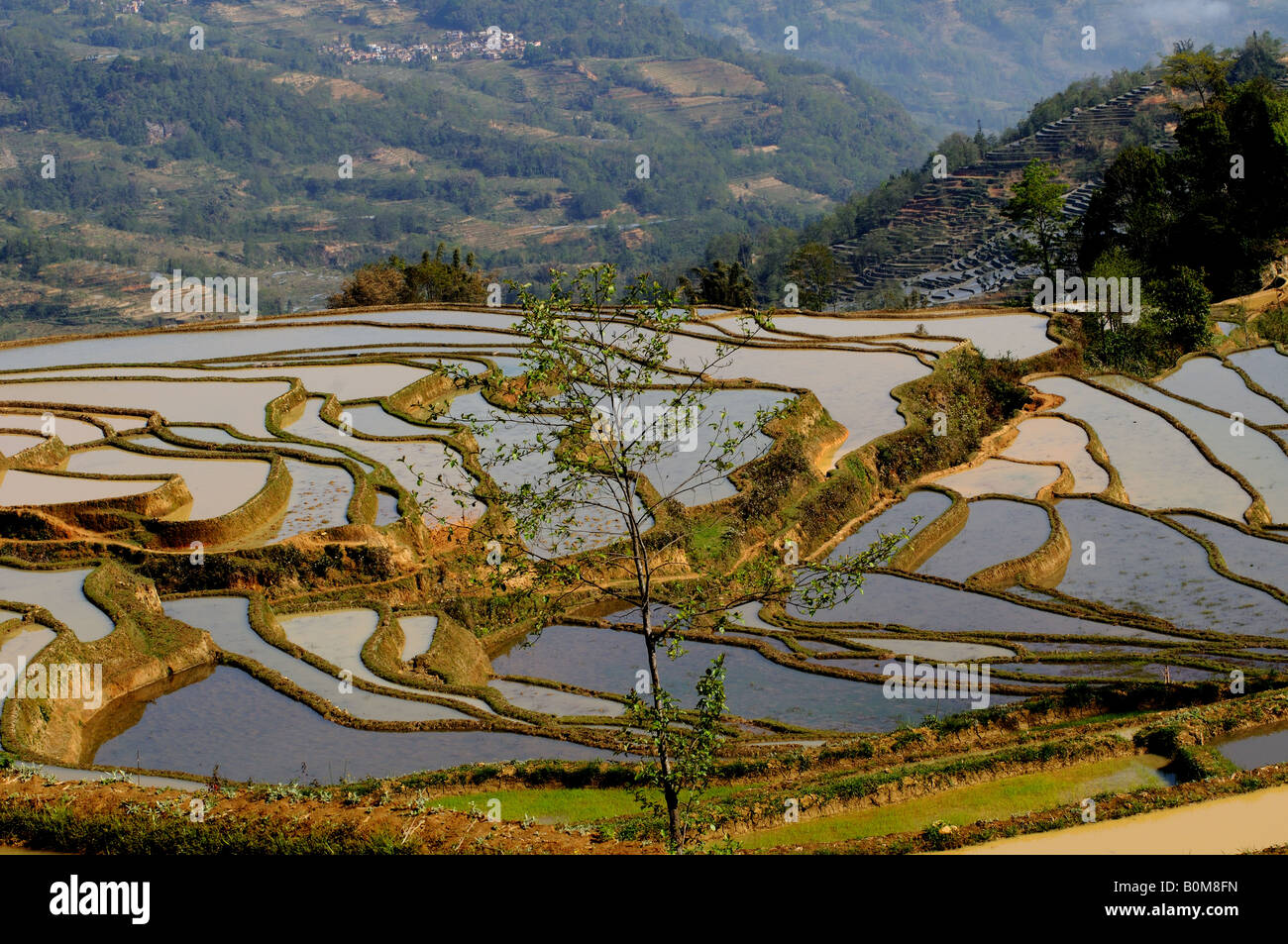 The beautiful rice terrace fields in YuanYang Yunnan China Stock Photo ...
