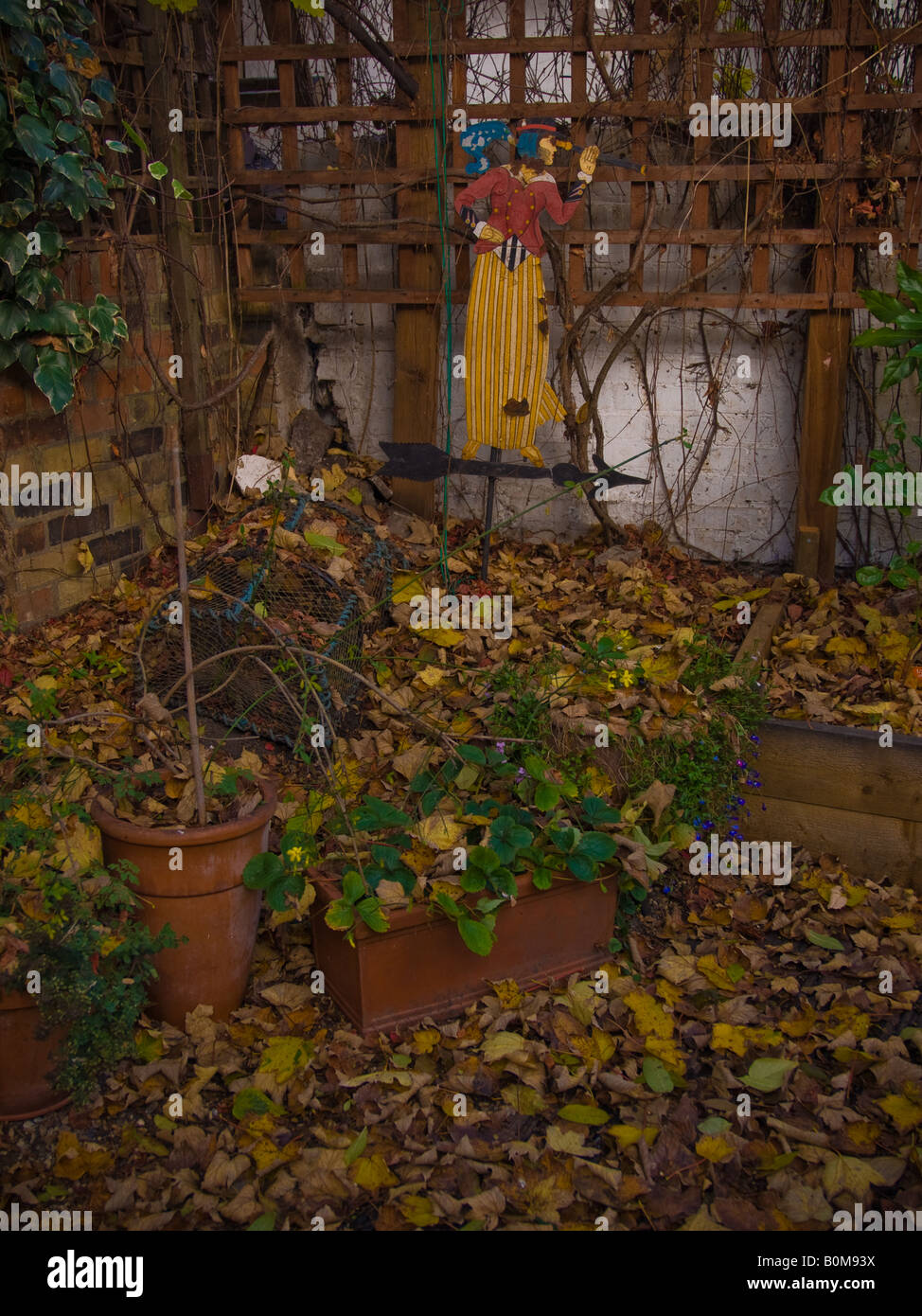 Overgrown garden border hi-res stock photography and images - Alamy