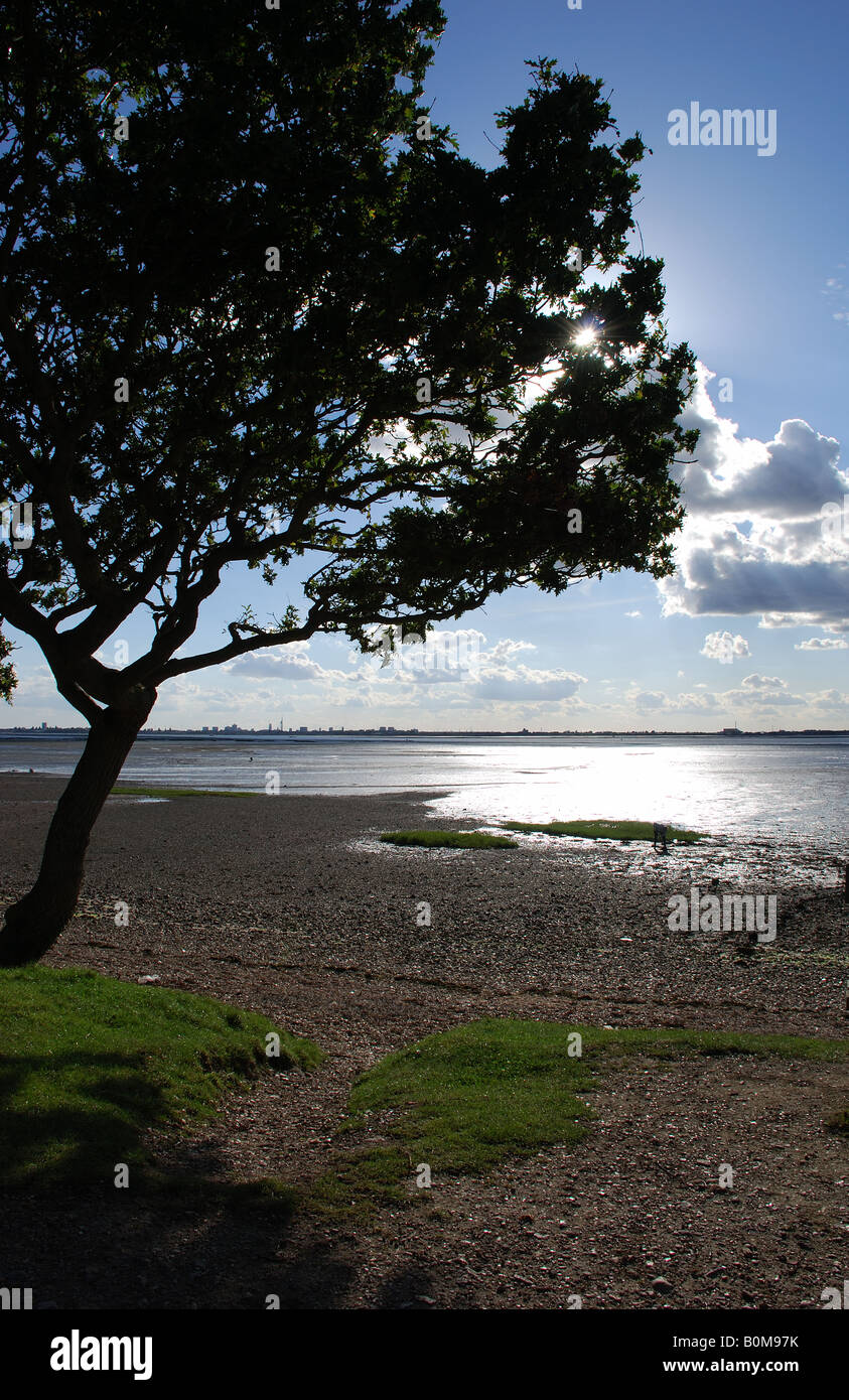 View towards Portsmouth and the Spinnaker Tower from the Hayling Billy ...