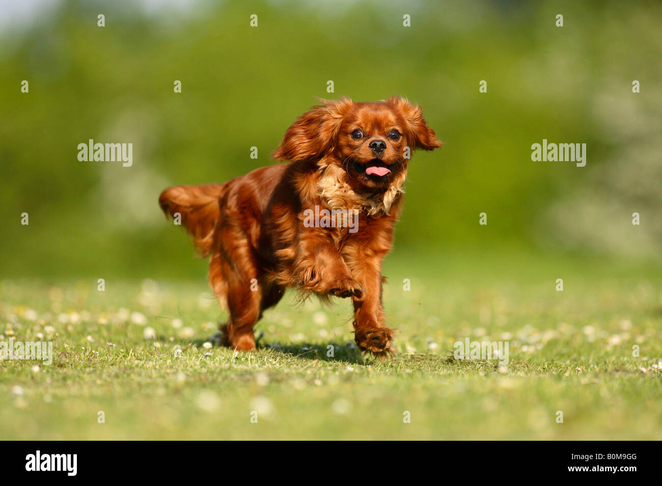 10 month hi-res stock photography and images - Alamy