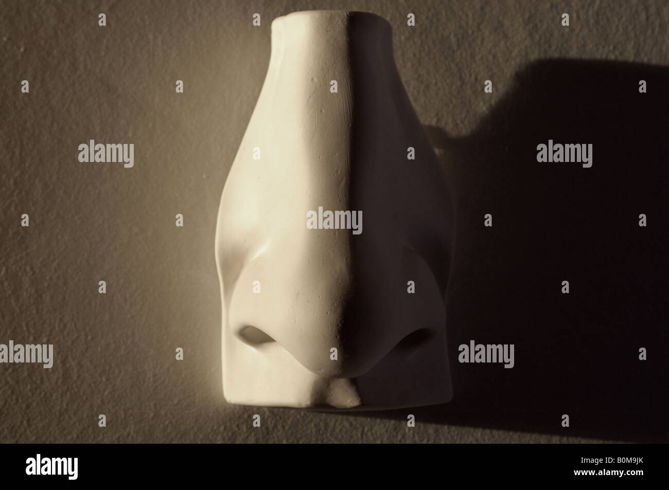 Nose of michelangelo's david hi-res stock photography and images - Alamy