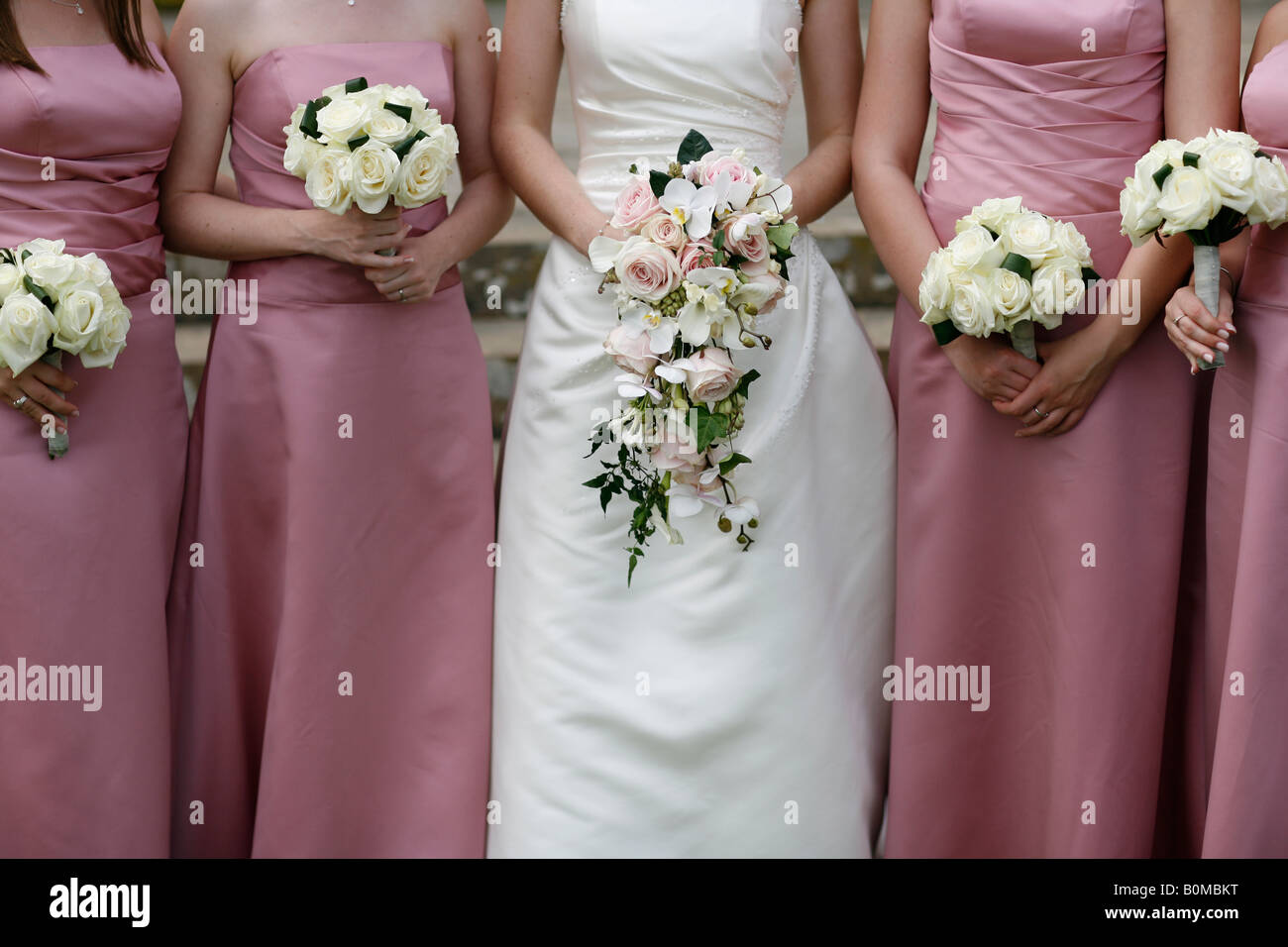 Bride and Bridesmaids Stock Photo - Alamy