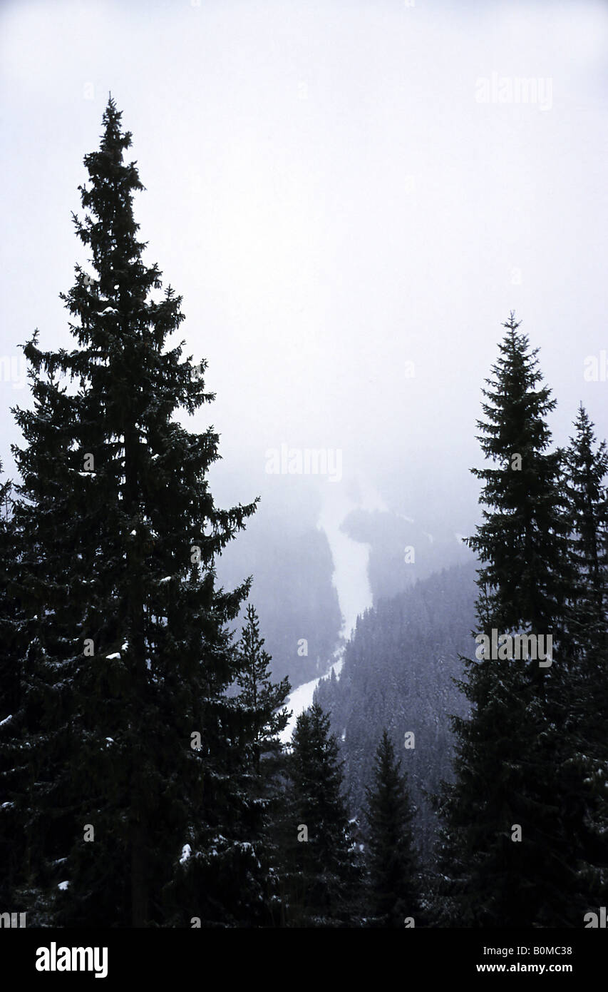 Black graded ski slope hi-res stock photography and images - Alamy