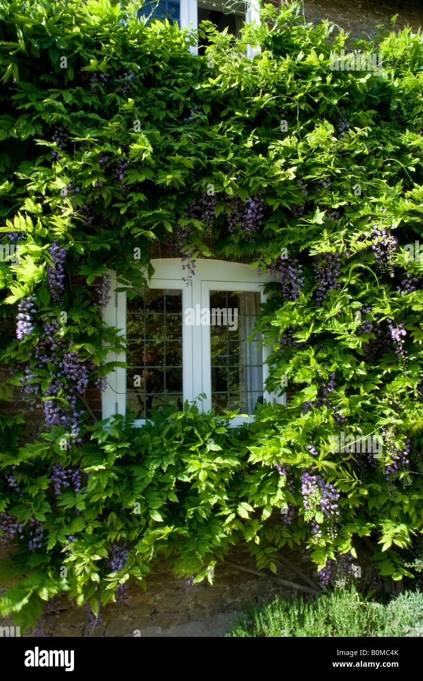 Window into history hi-res stock photography and images - Alamy