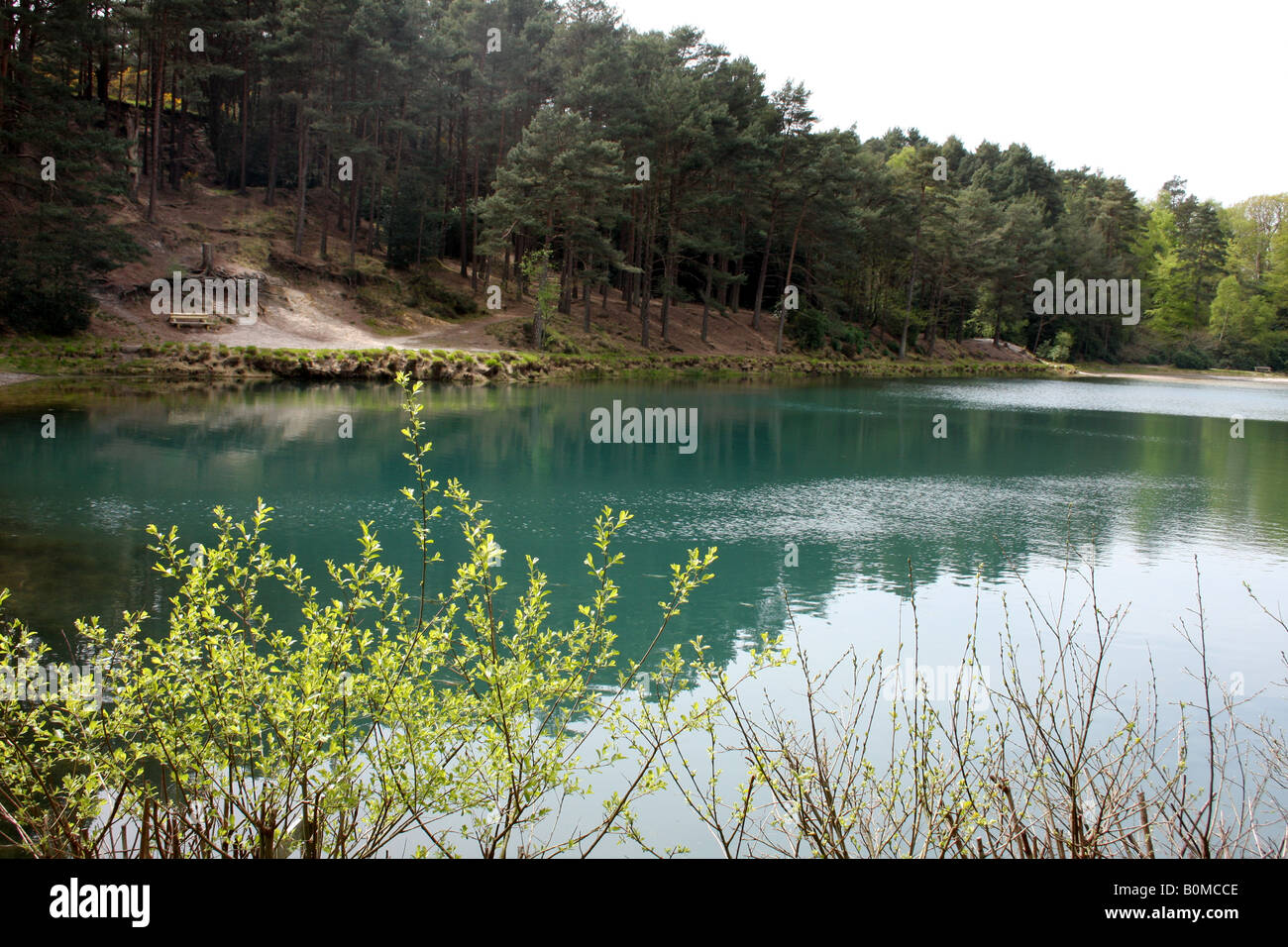 Scenic views at Blue Pool Dorset Stock Photo - Alamy