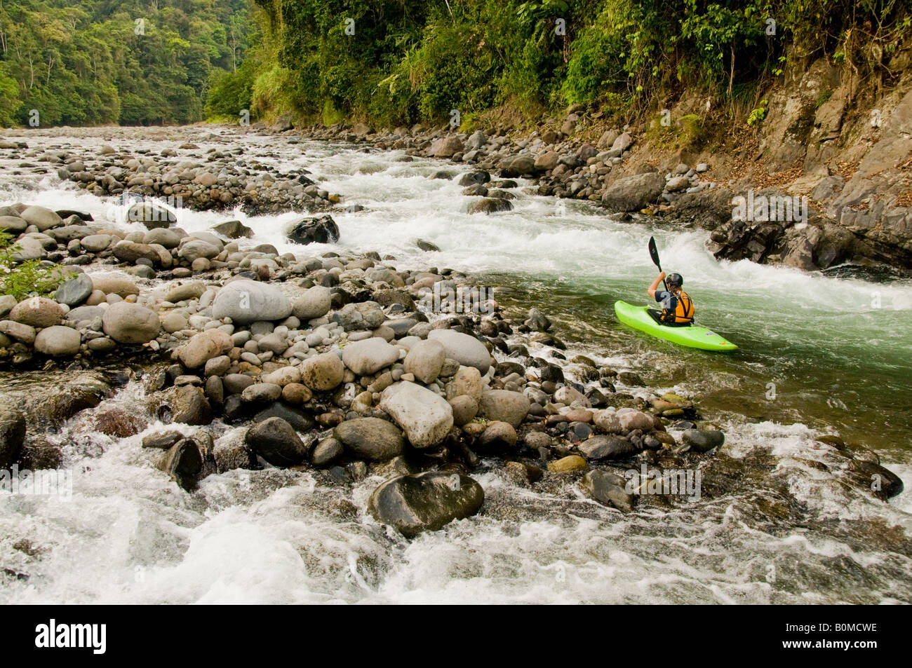 Kayak on rainforest hi-res stock photography and images - Alamy