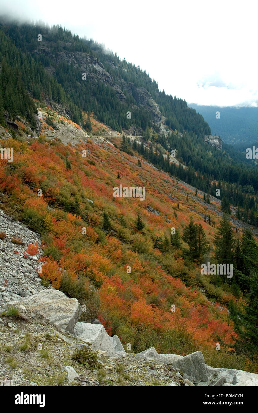 Autumn colours, Mount Rainier National Park, Washington, USA Stock ...
