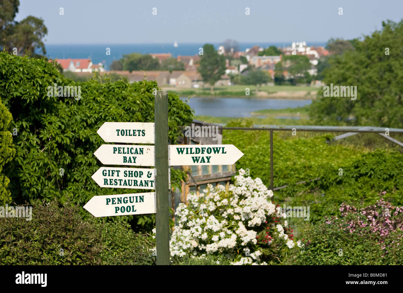 Information signs at Flamingo Park, Isle of Wight in Spring. The Solent ...