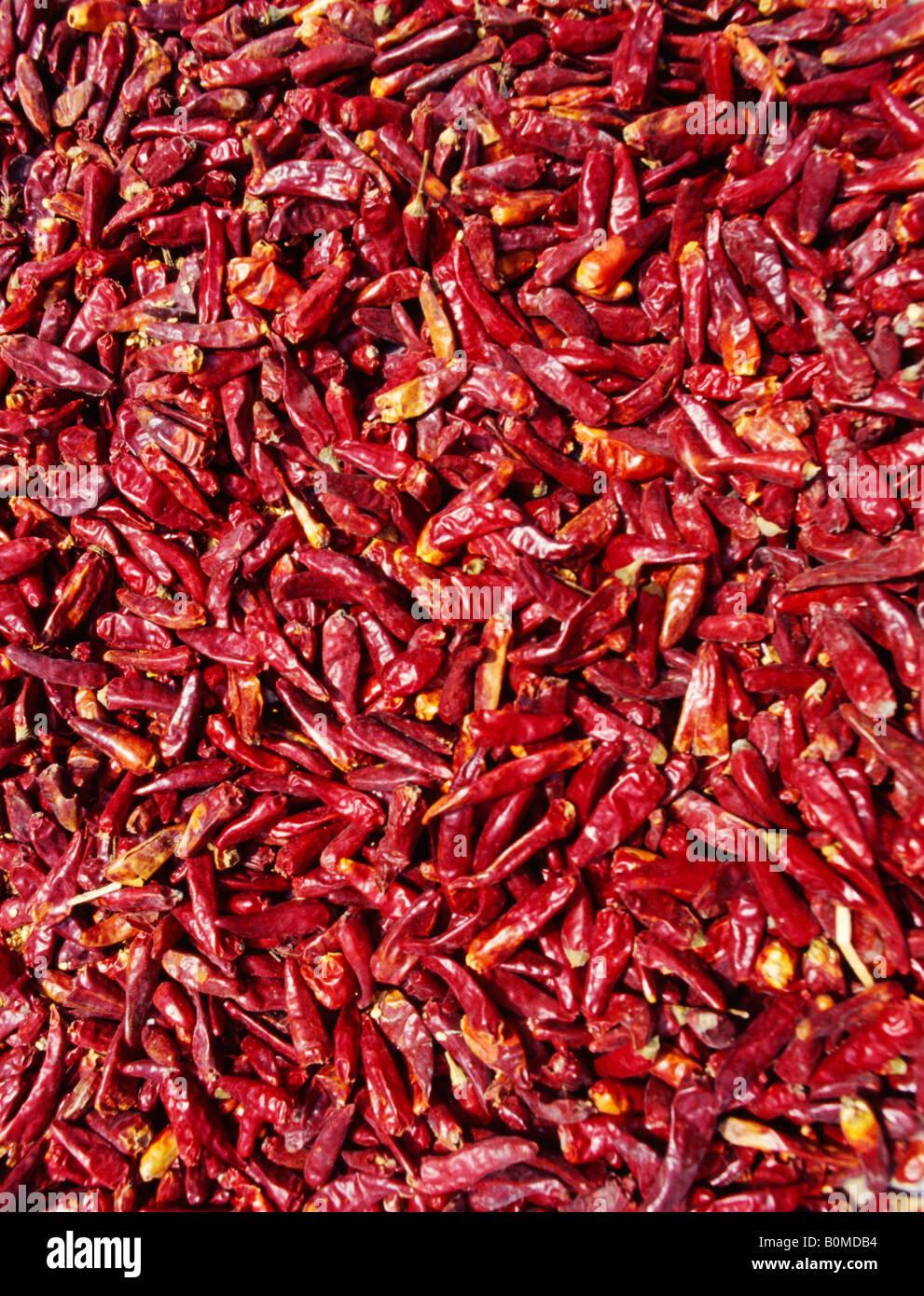 Red chillis drying hi-res stock photography and images - Alamy