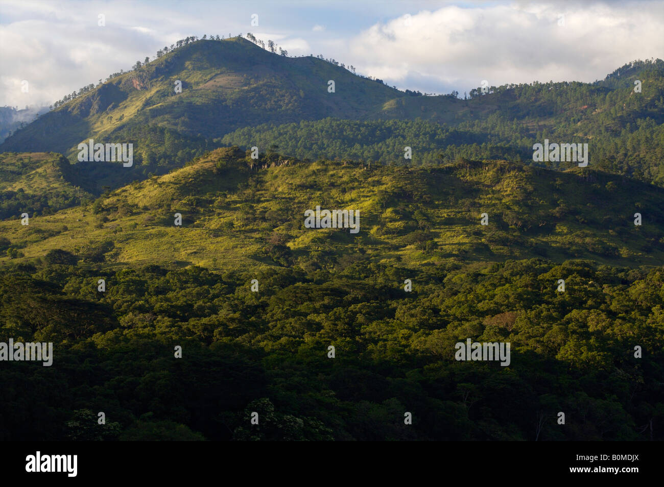 Valley Of Copan High Resolution Stock Photography and Images - Alamy