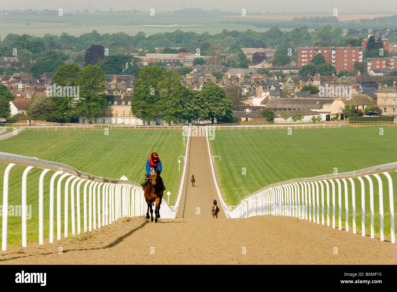 England newmarket horses at the gallops hi-res stock photography and ...