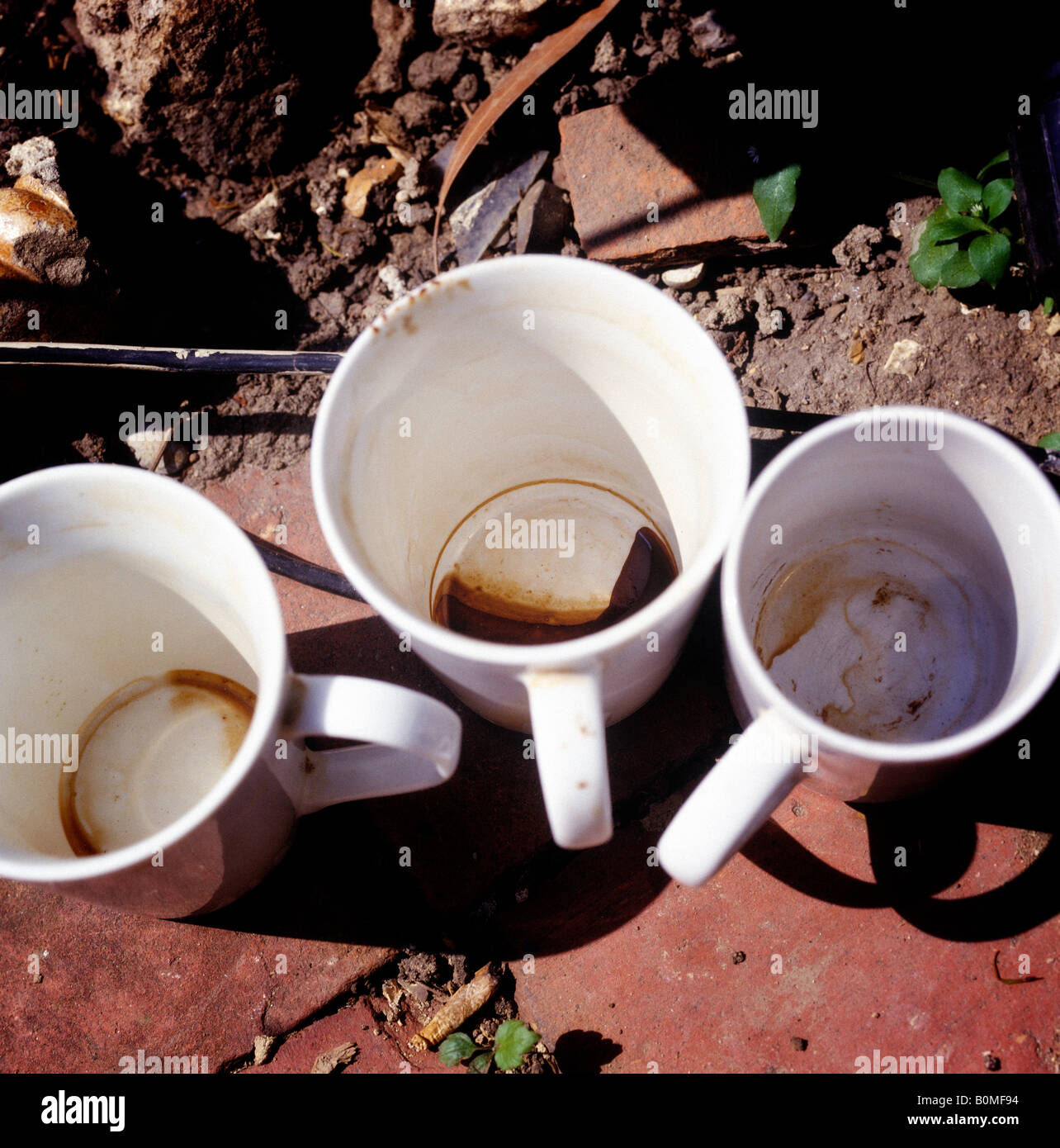 builders dirty tea mugs Stock Photo - Alamy