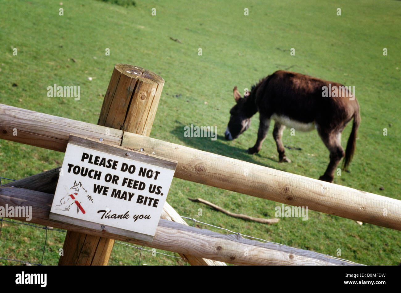 a donkey in a field with a sign that reads Do not touch or feed us. We ...