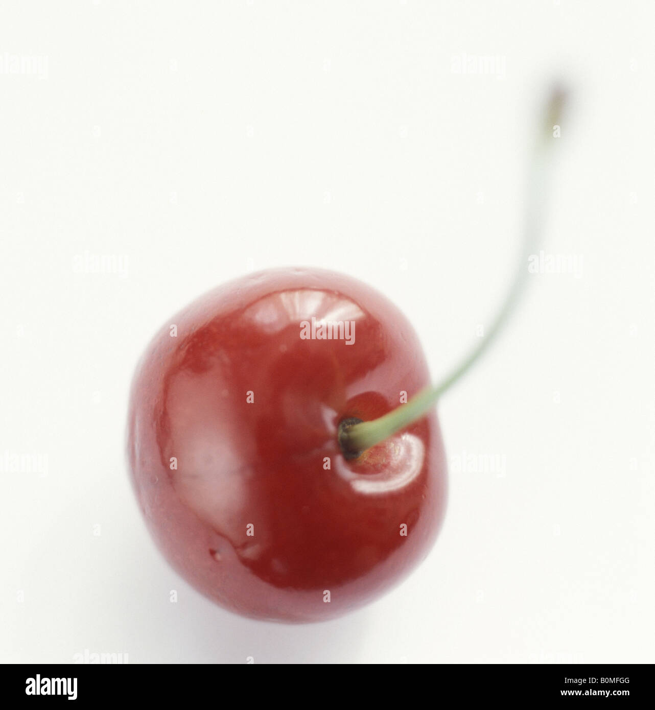 an English cherry Stock Photo - Alamy