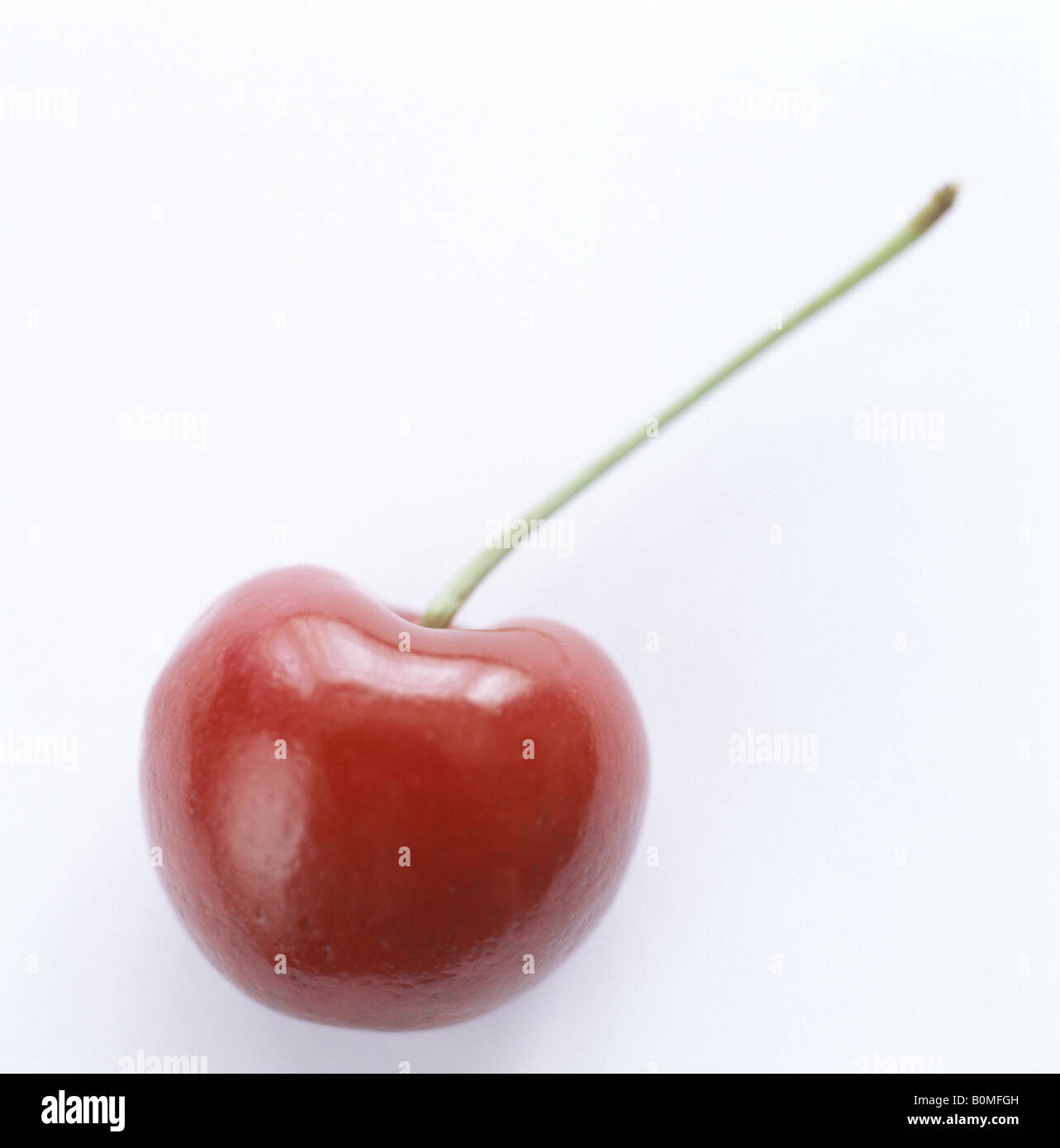 an English cherry Stock Photo - Alamy