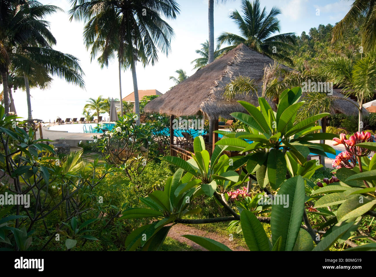 A small resort is hidden away in the jungles of a tropical island ...