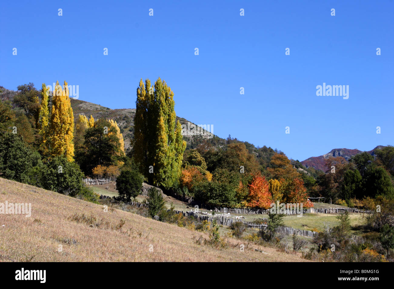 Mapuche farm in Fall 2 Stock Photo - Alamy