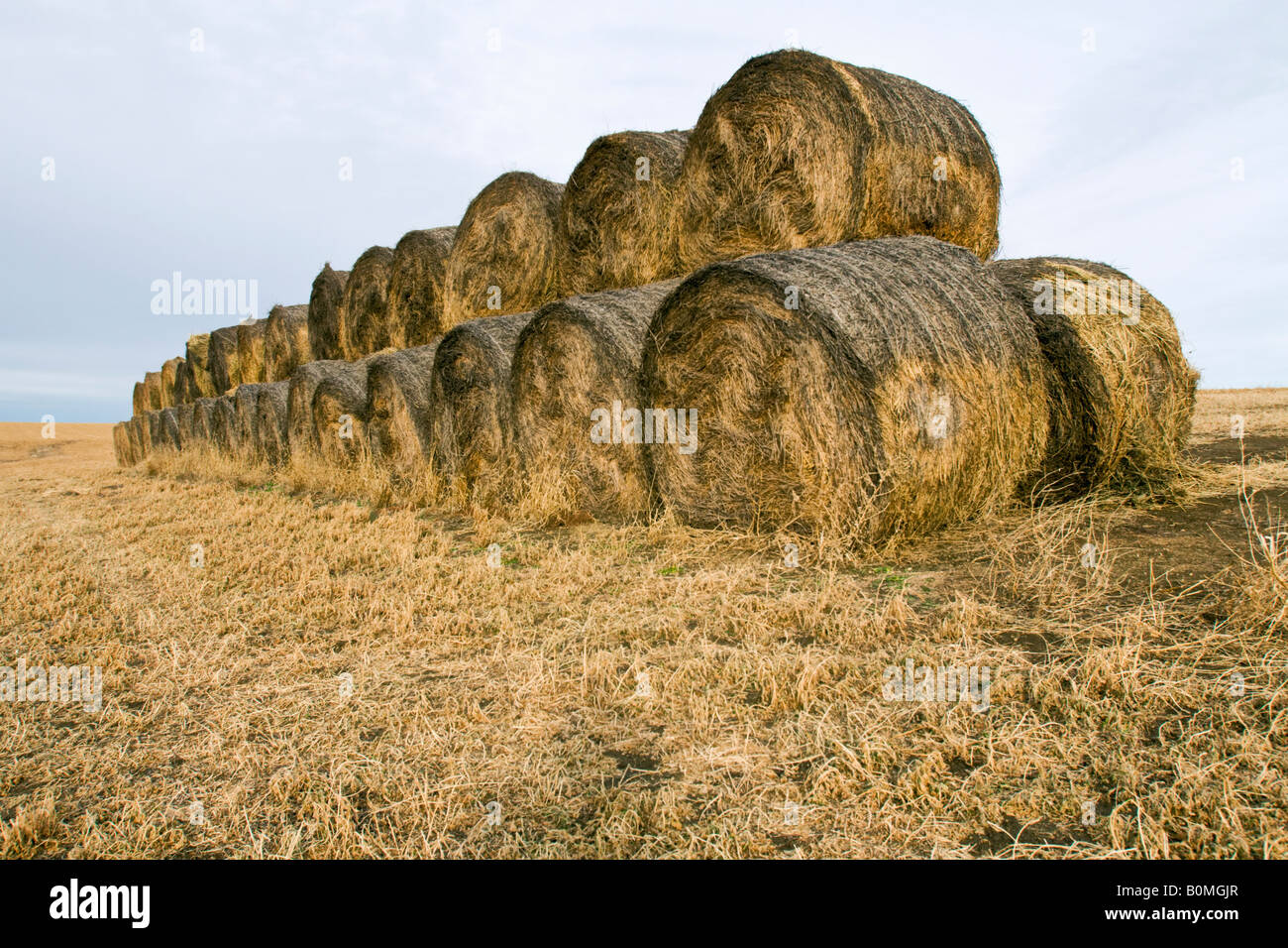 Alfalfa circular crop hi-res stock photography and images - Alamy