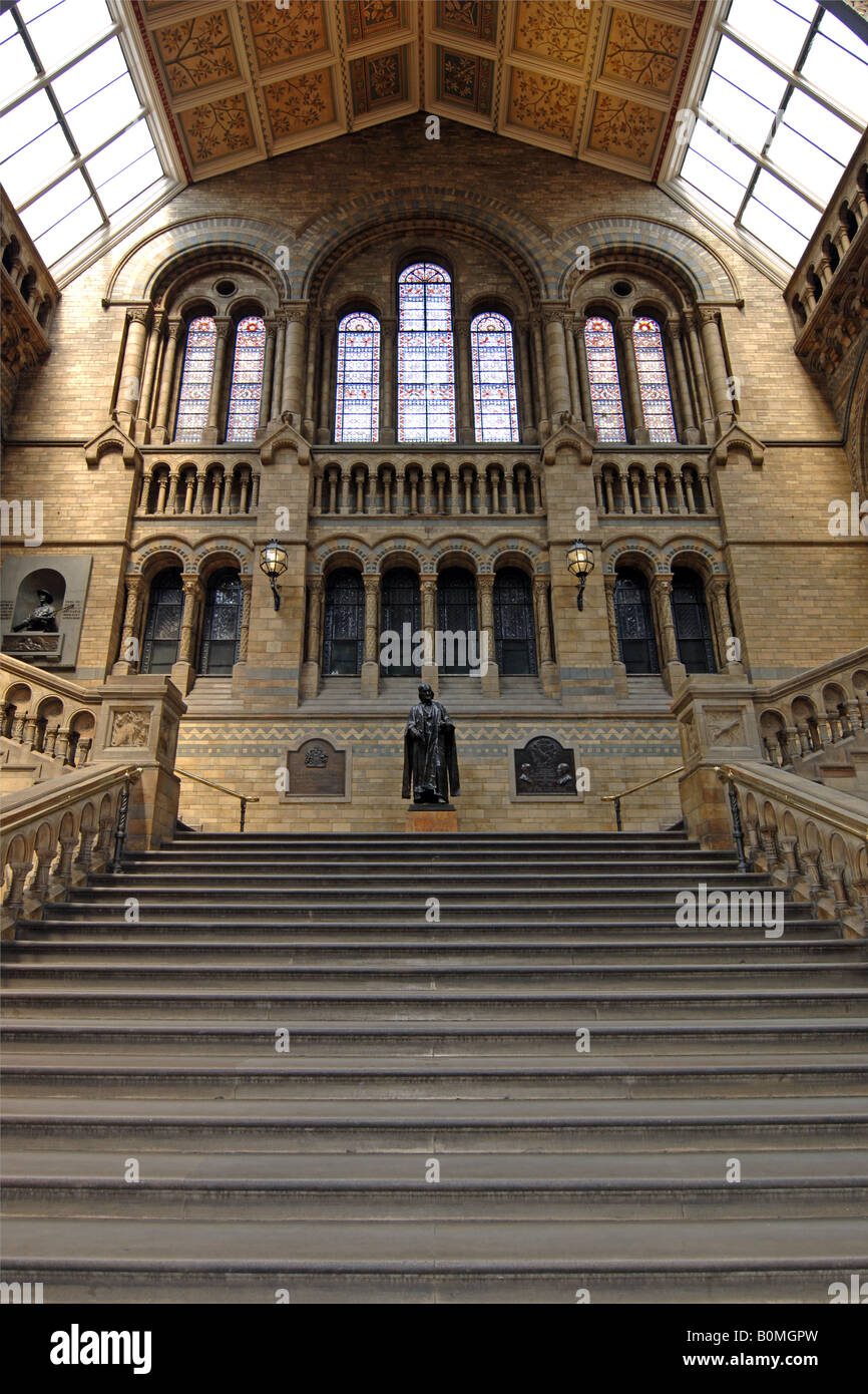 The Victorian Staircase inside the Natural History Museum London Stock ...