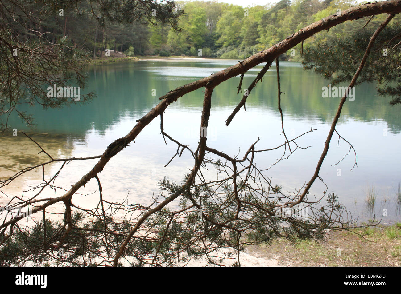 Blue pool dorset hi-res stock photography and images - Alamy