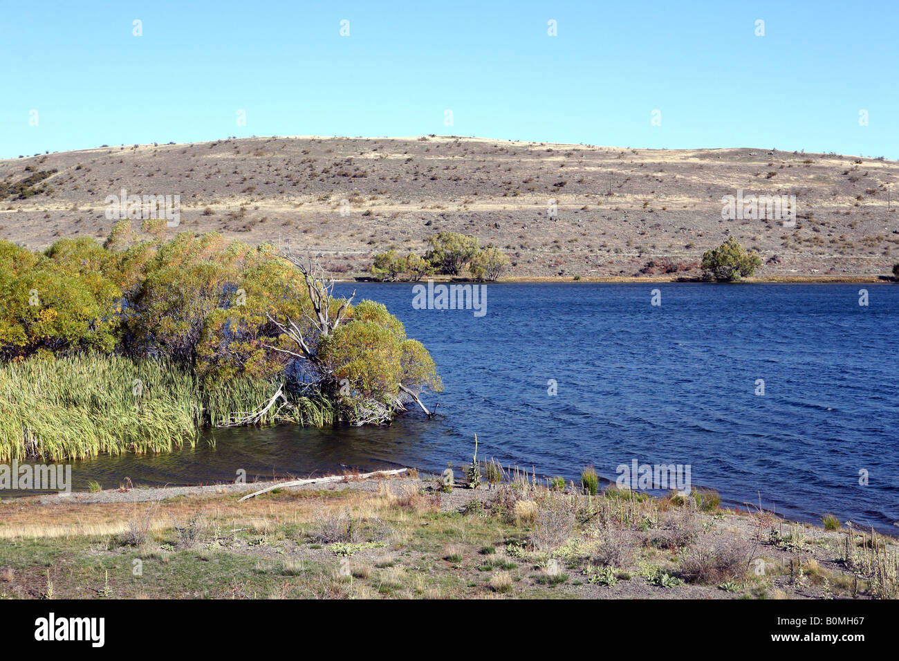 Lake MacGregor South island New Zealand Stock Photo - Alamy