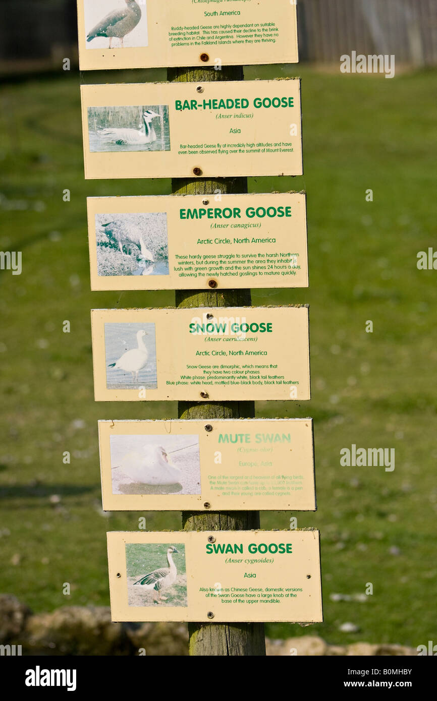 Bird identification signs at wildlife reserve in UK Stock Photo - Alamy