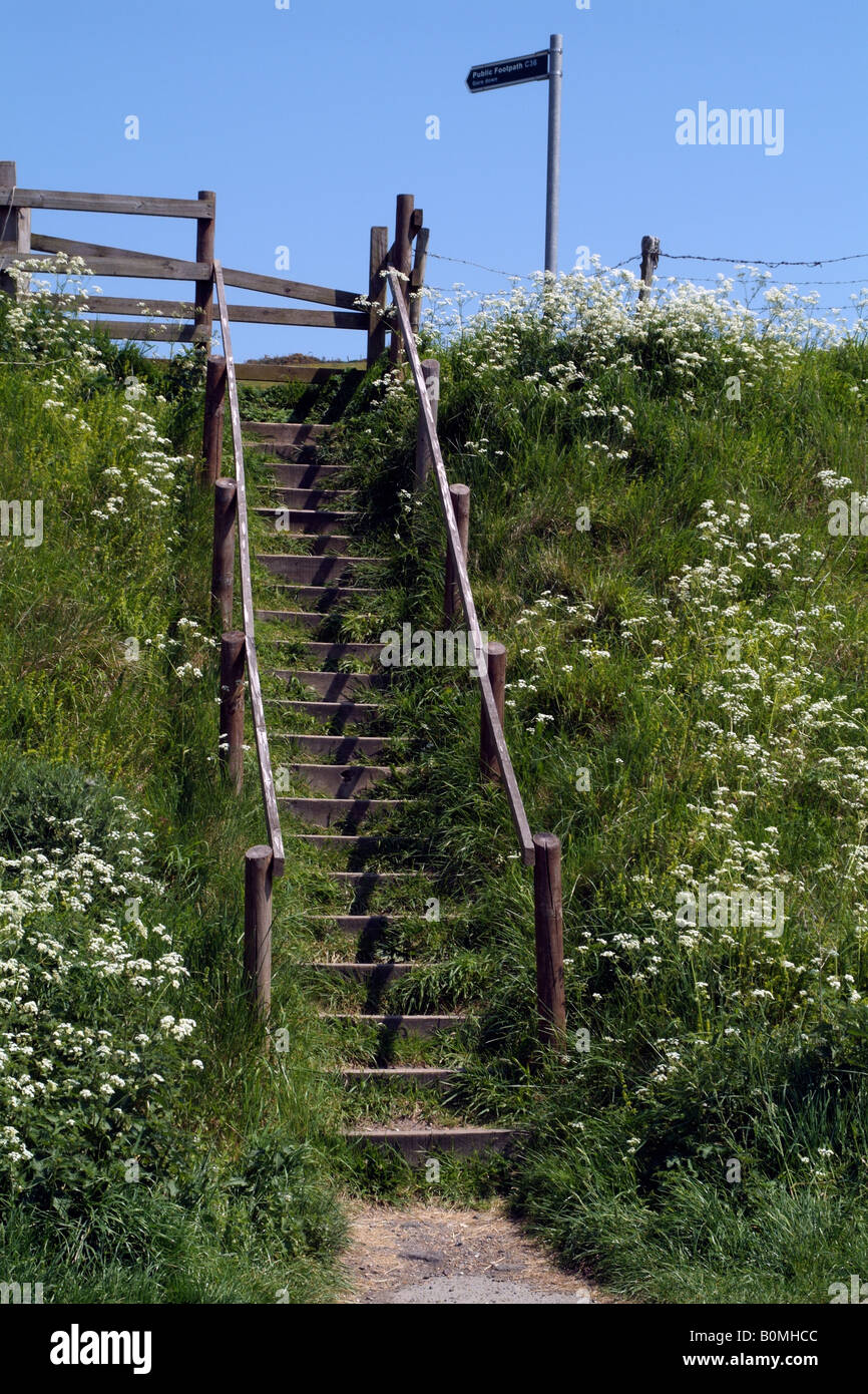 Wooden steps footpath hi-res stock photography and images - Alamy