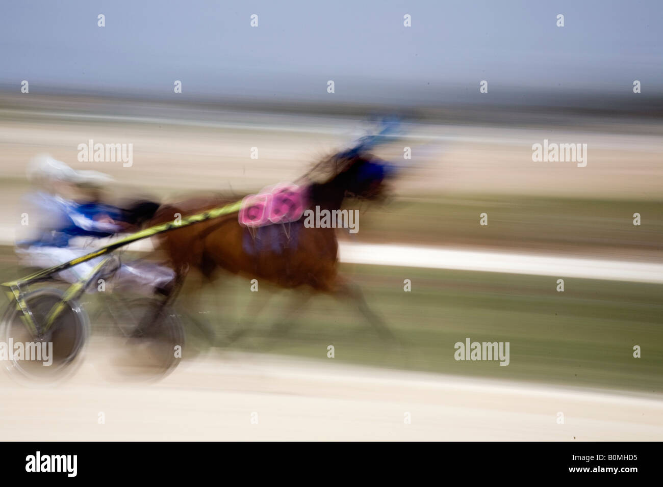 Cinder and sand racing at Marsa racetrack, Trotters, Horse-racing, Trot ...