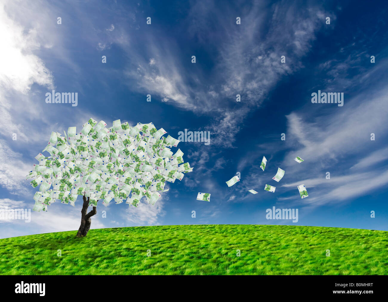 Concept of a cash tree with falling 100 Euro banknotes leaves Composite ...