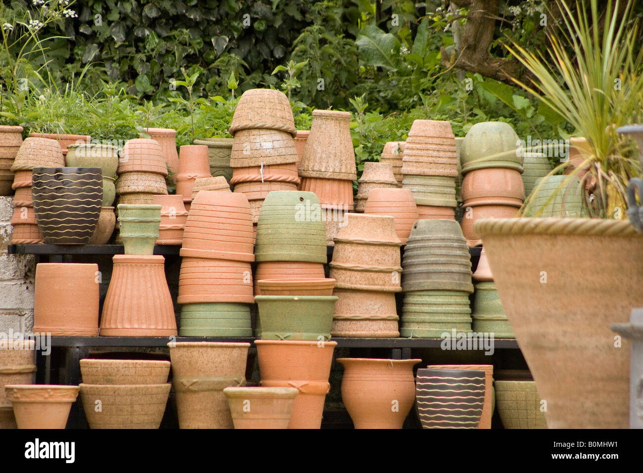 Terracotta pots uk hi-res stock photography and images - Alamy