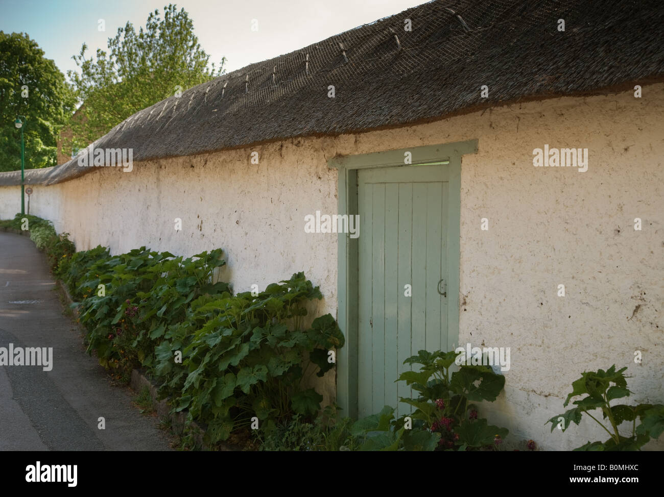 A traditional country thatched cob wall boundary in Ashwell, Herts ...