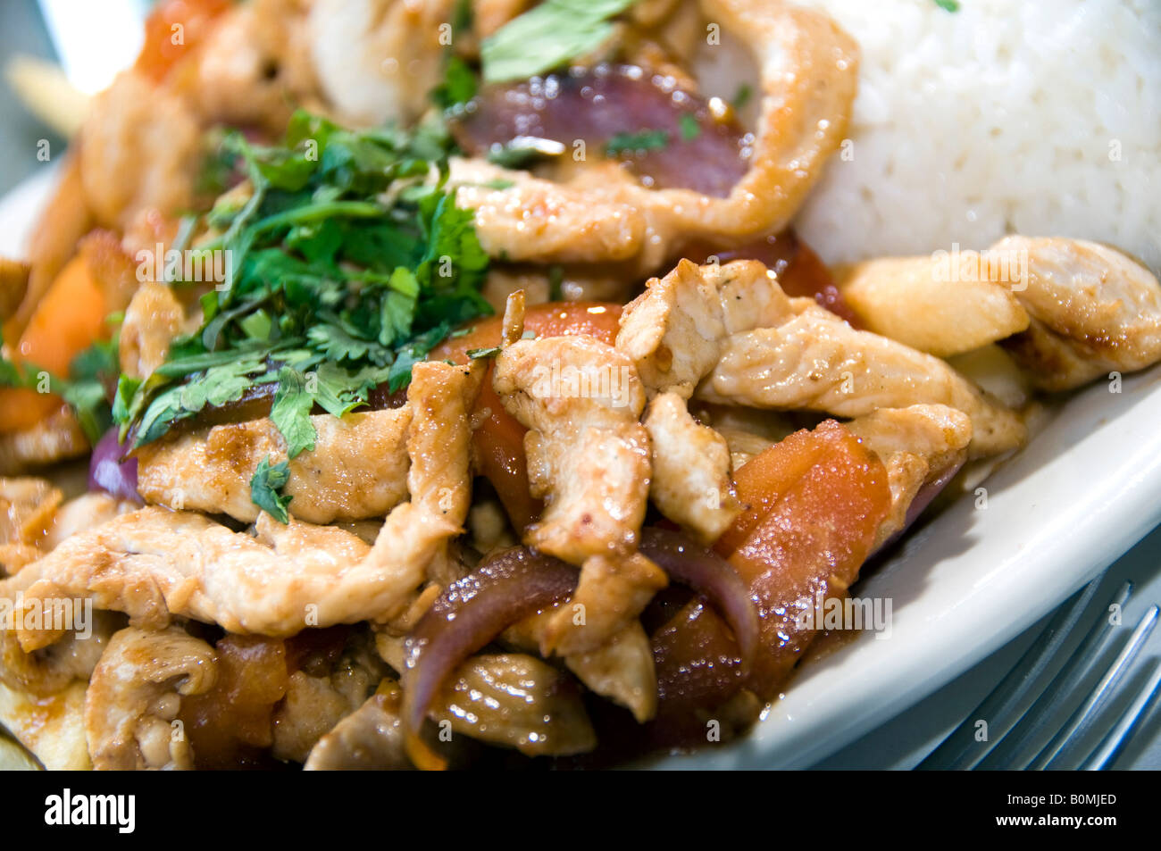 Pollo Saltado