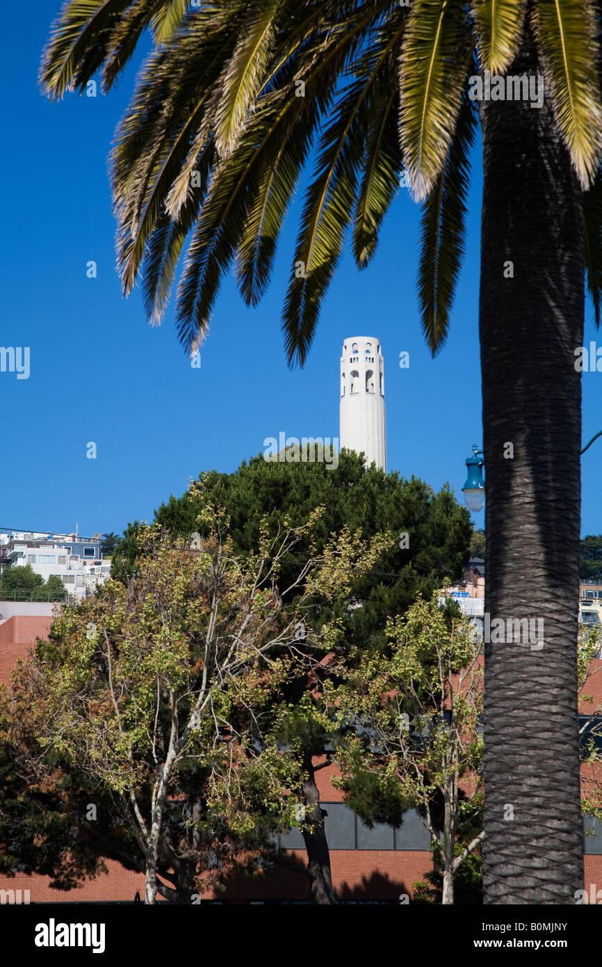 Coit Tower San Francisco California USA Stock Photo - Alamy
