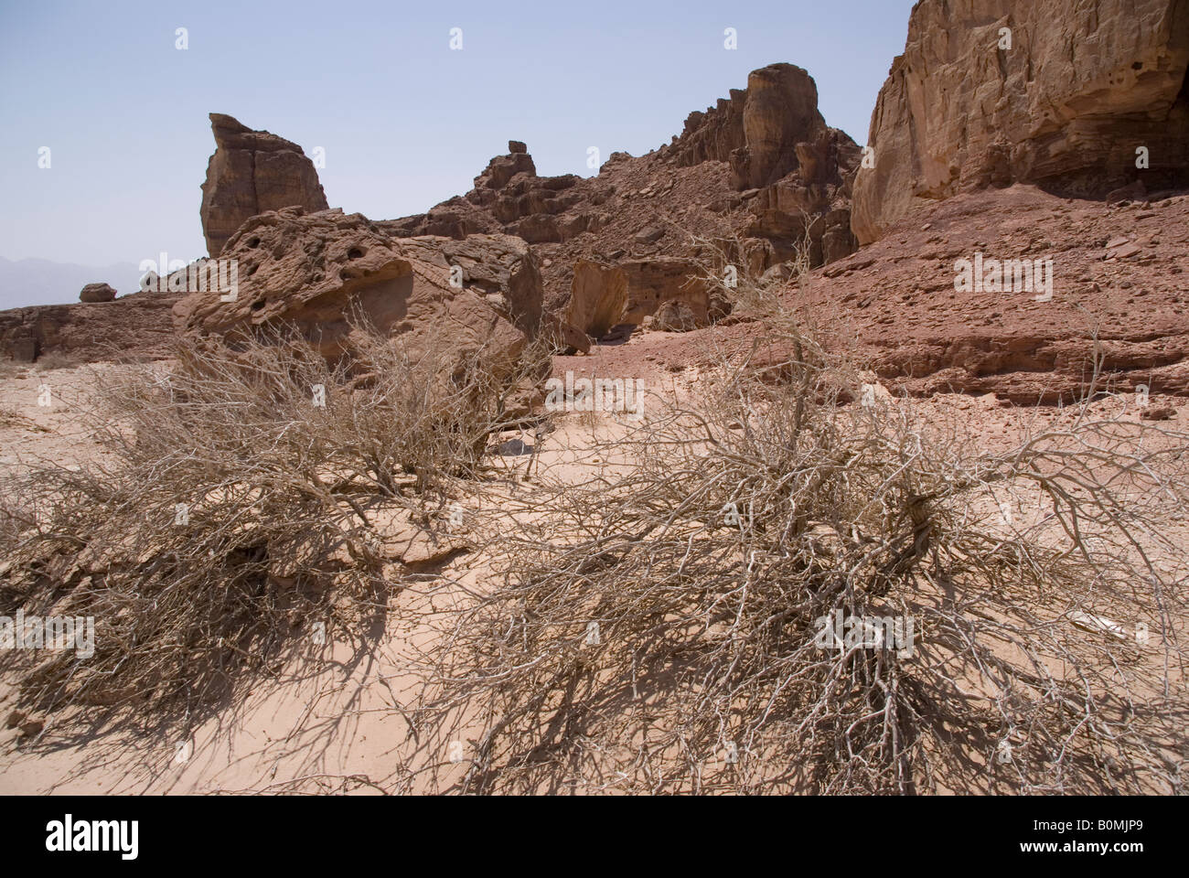 DSC03308, Park Timna Stock Photo - Alamy