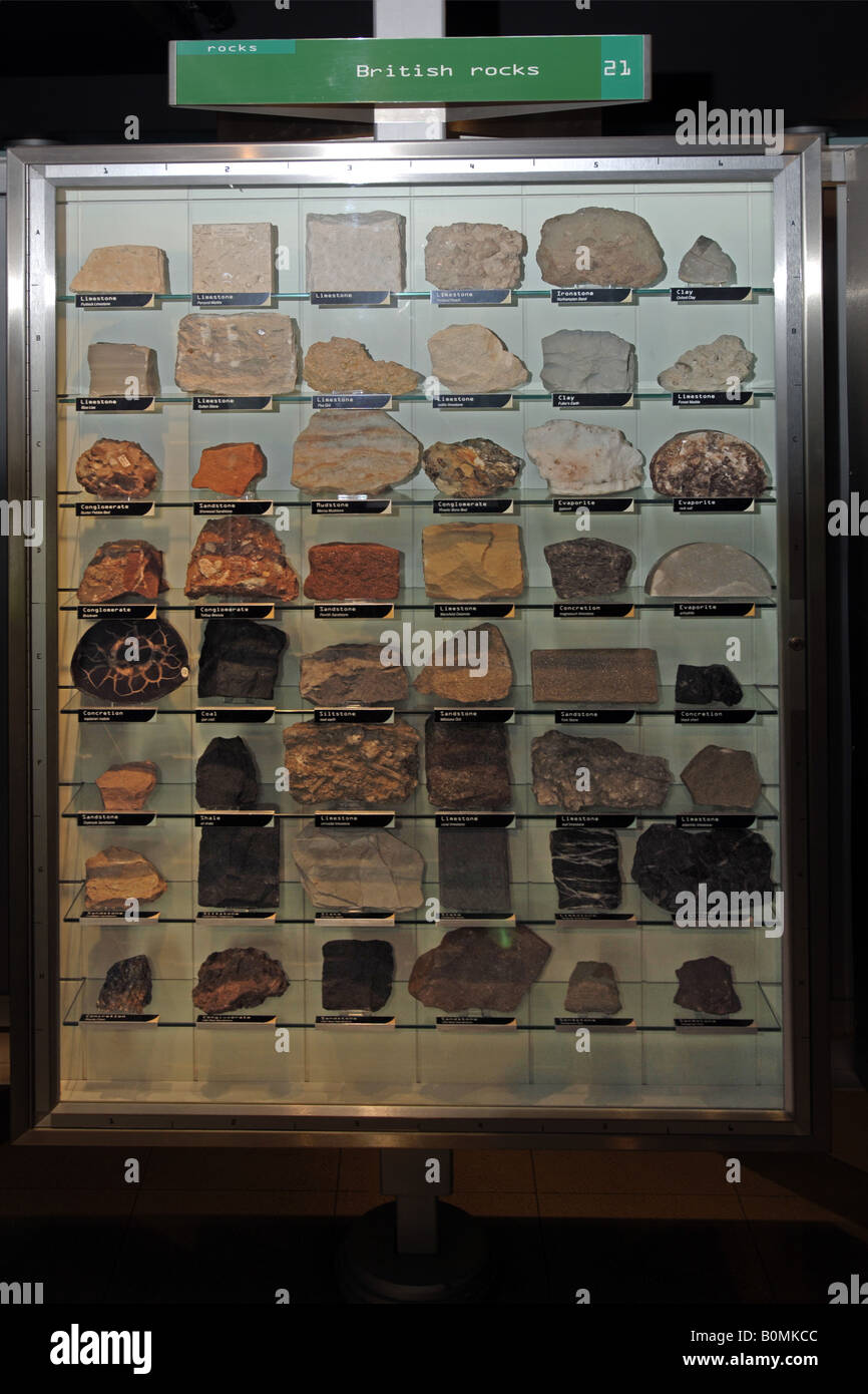 Display of British rocks at the Natural History Museum London Stock ...