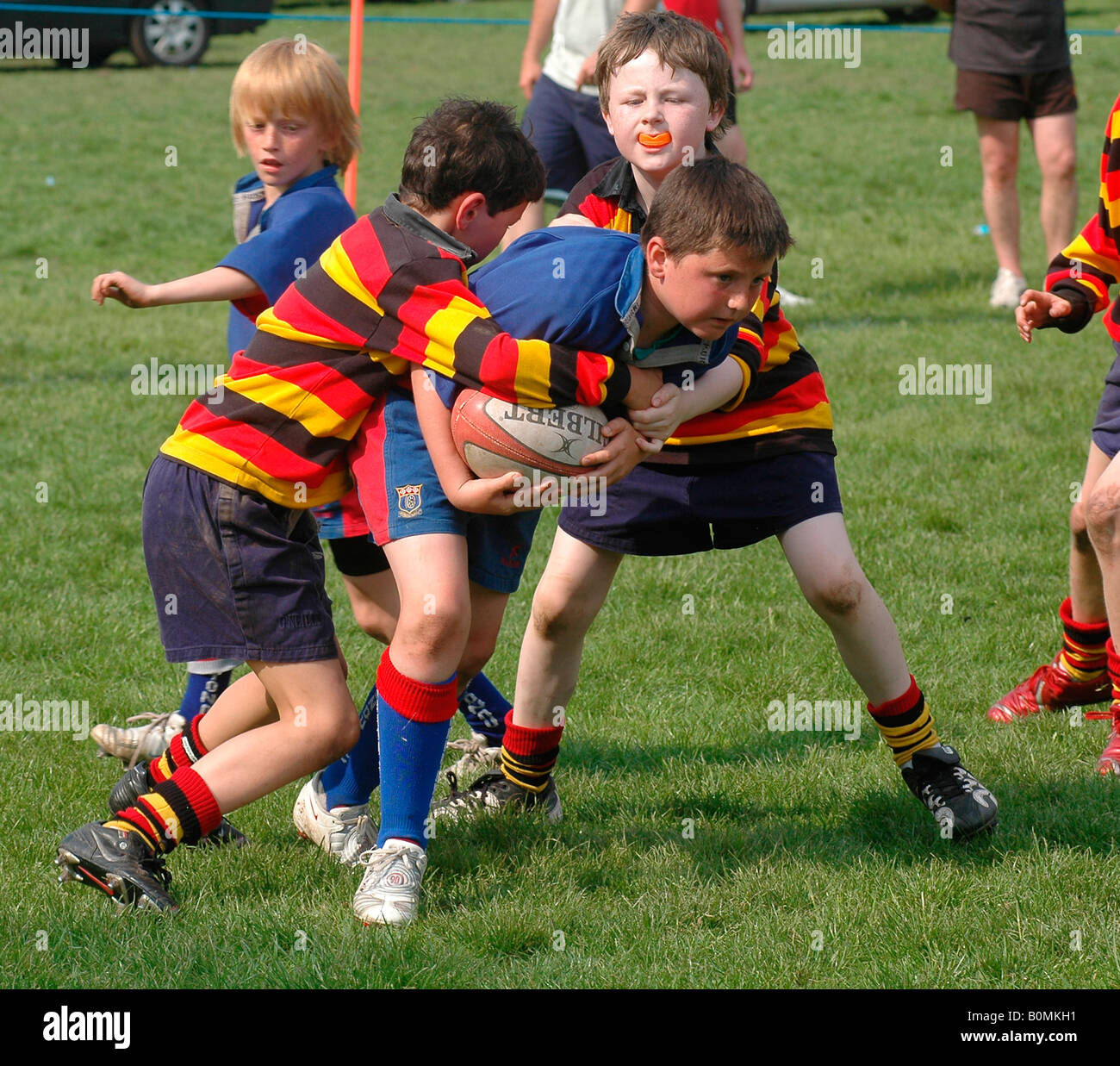 A child is tackled whilst playing Mini age range rugby Stock Photo - Alamy