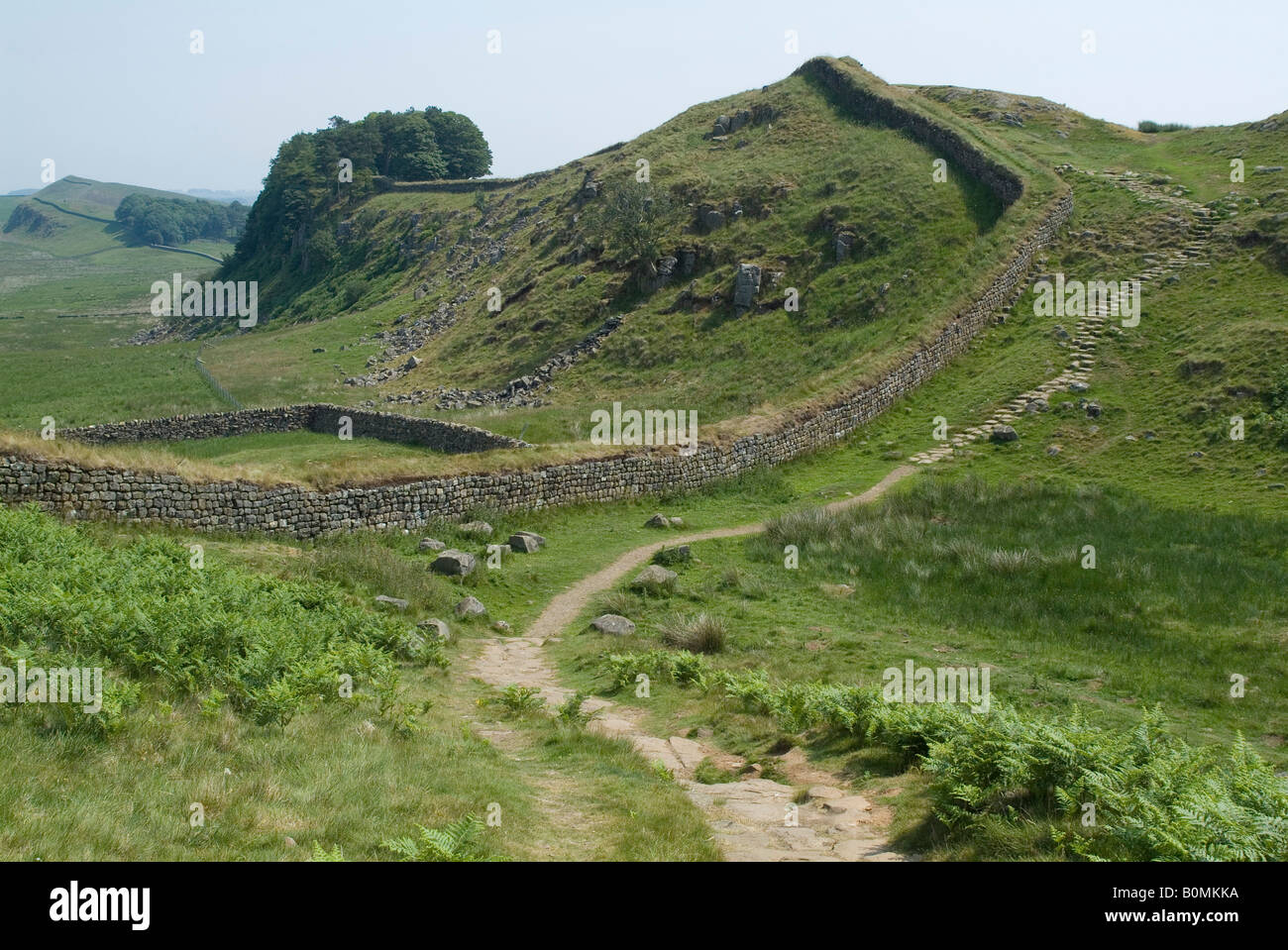 Hadrian's Wall, Housesteads, Northumberland, England Stock Photo - Alamy