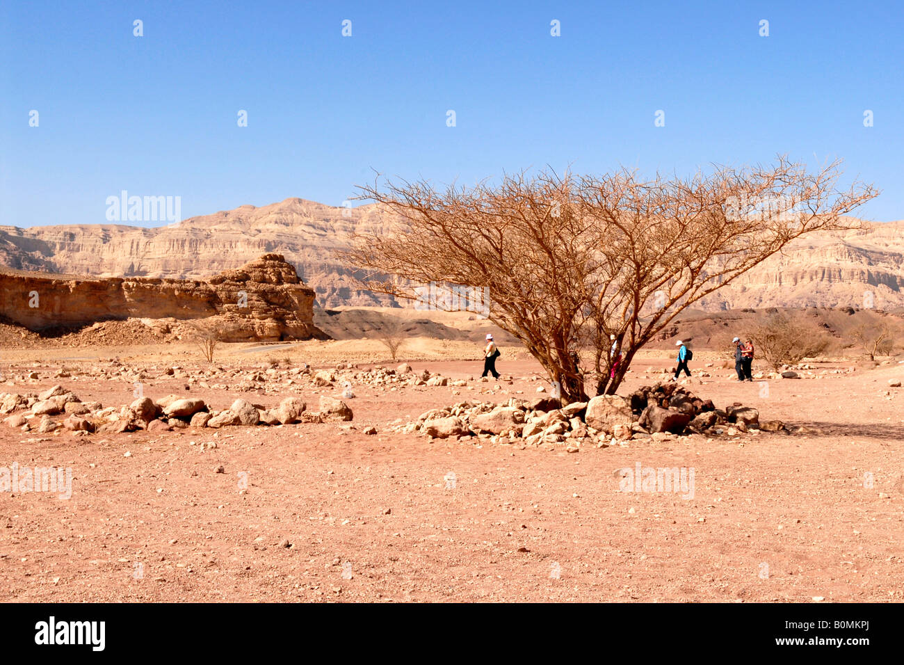 Gadna hi-res stock photography and images - Alamy