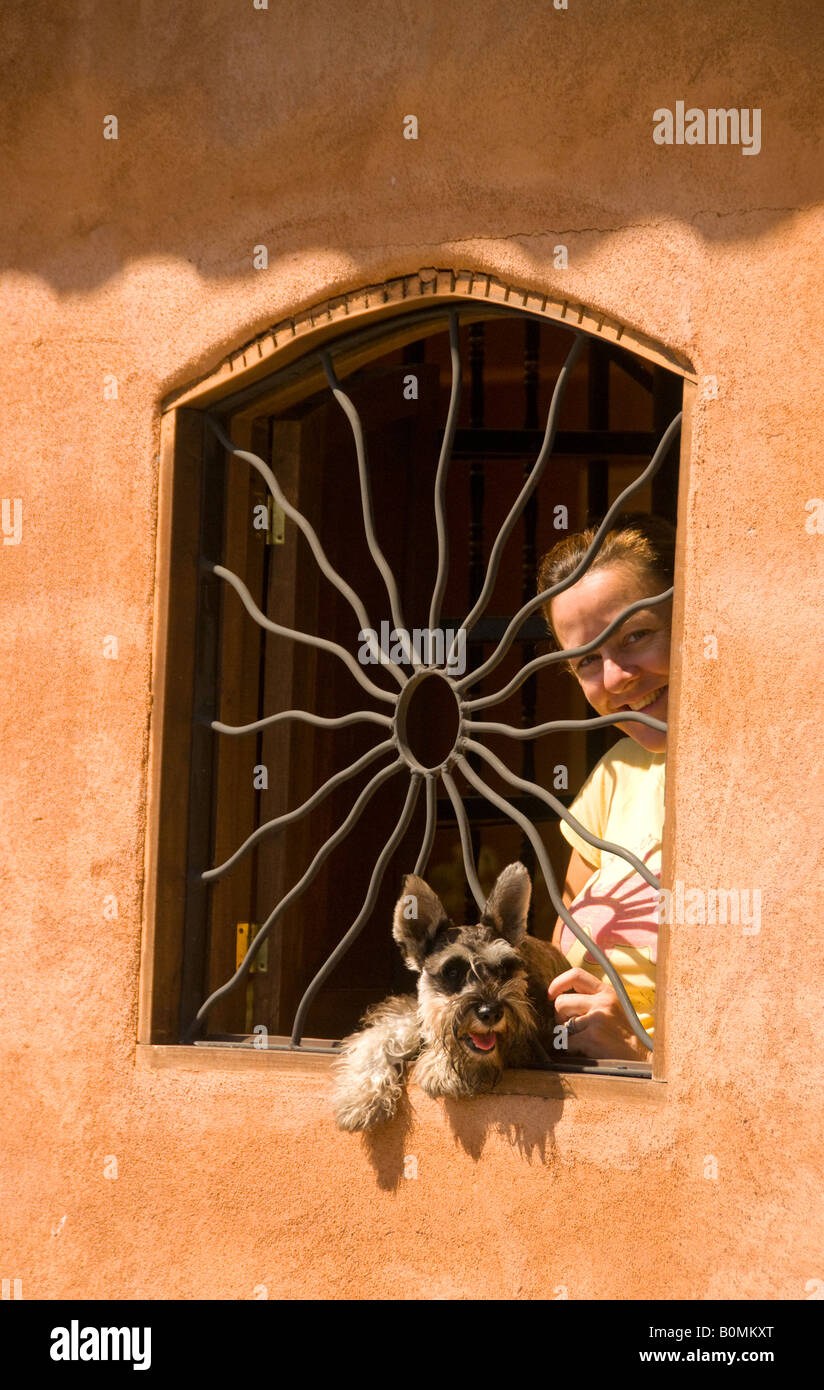 Dog peering in window hi-res stock photography and images - Alamy