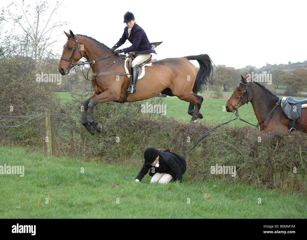 Horse jump fall hi-res stock photography and images - Alamy